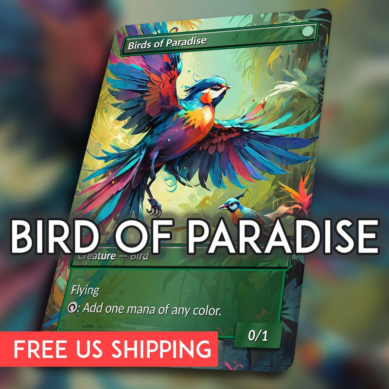 Bird Ramp - Etsy