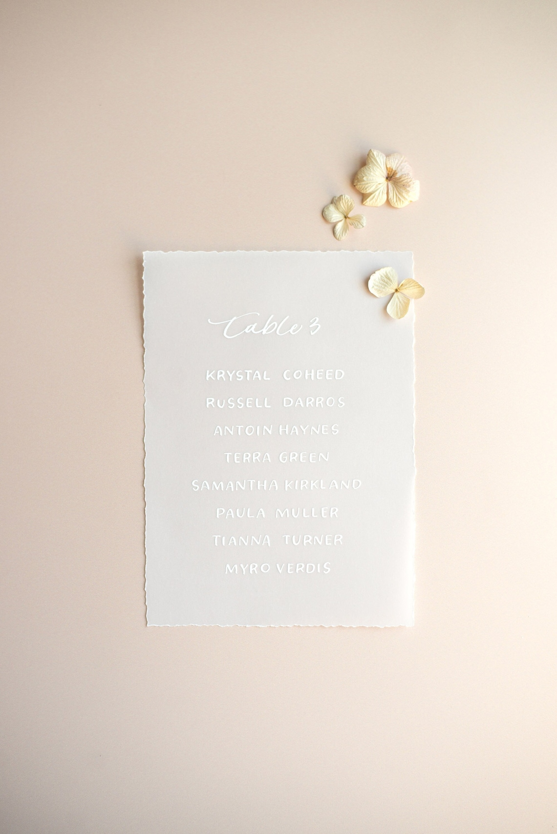 Handwritten Seating Chart Card Table Assignments | Hand Torn Paper ...
