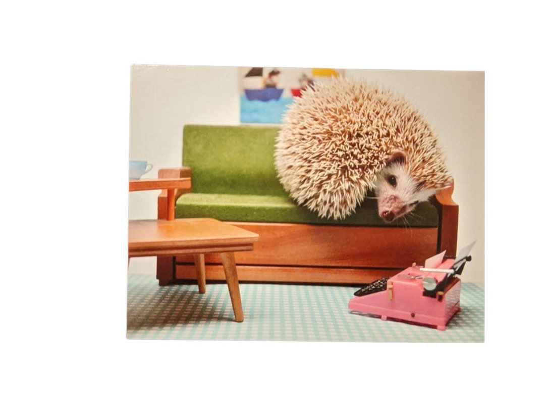 MCM Hedgehog Postcard Set of 2 Mid-century Mirah Postcards - Etsy