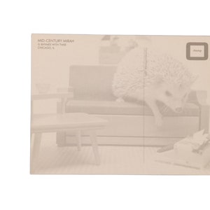 MCM Hedgehog Postcard Set of 2 Mid-century Mirah Postcards - Etsy