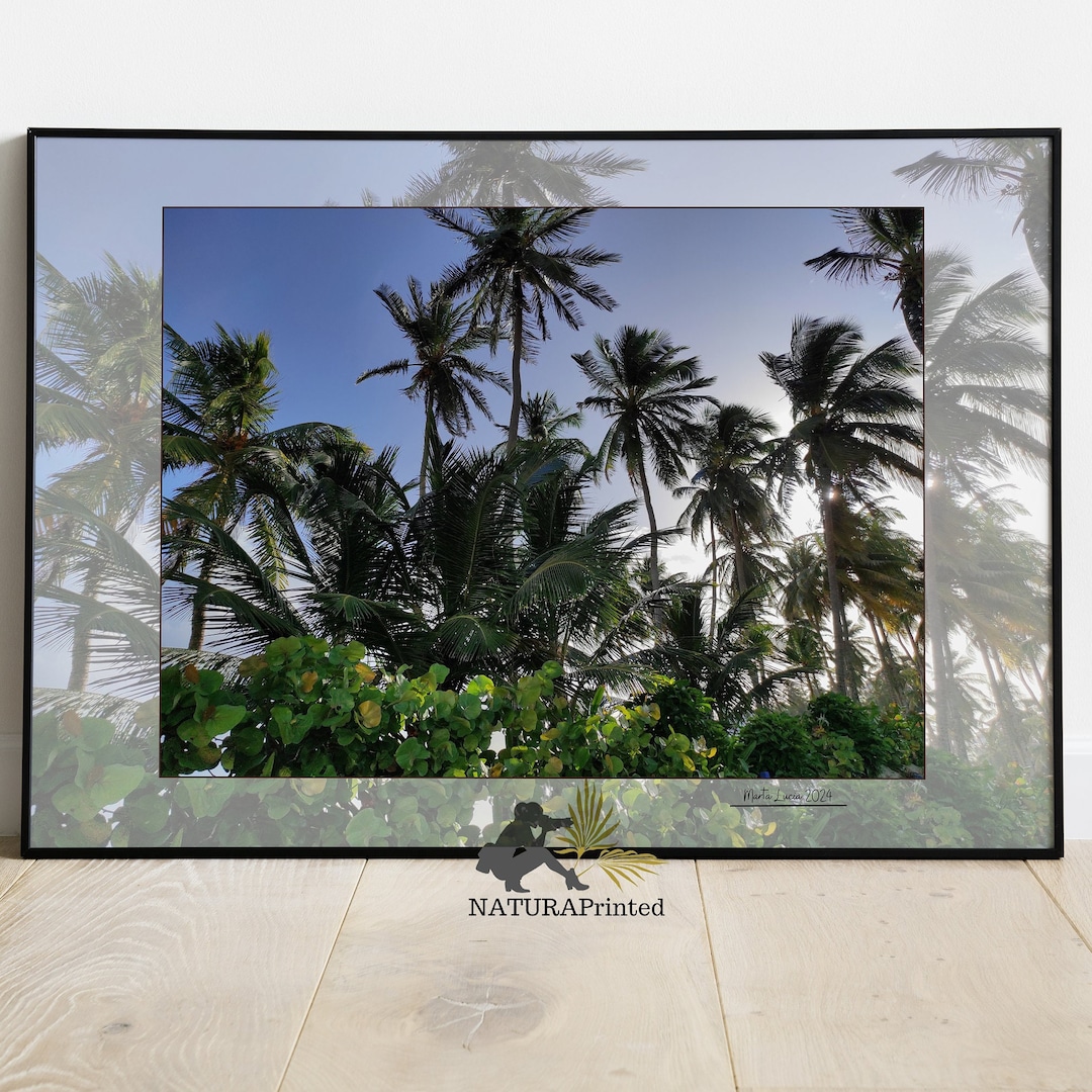 Caribbean Printable, Palm Tree Printable, Sky Printable, Ocean ...