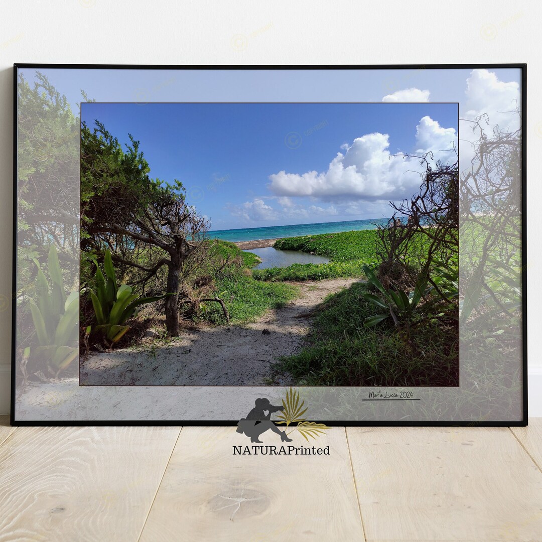 Caribbean Printable, Palm Tree Printable, Sky Printable, Ocean ...