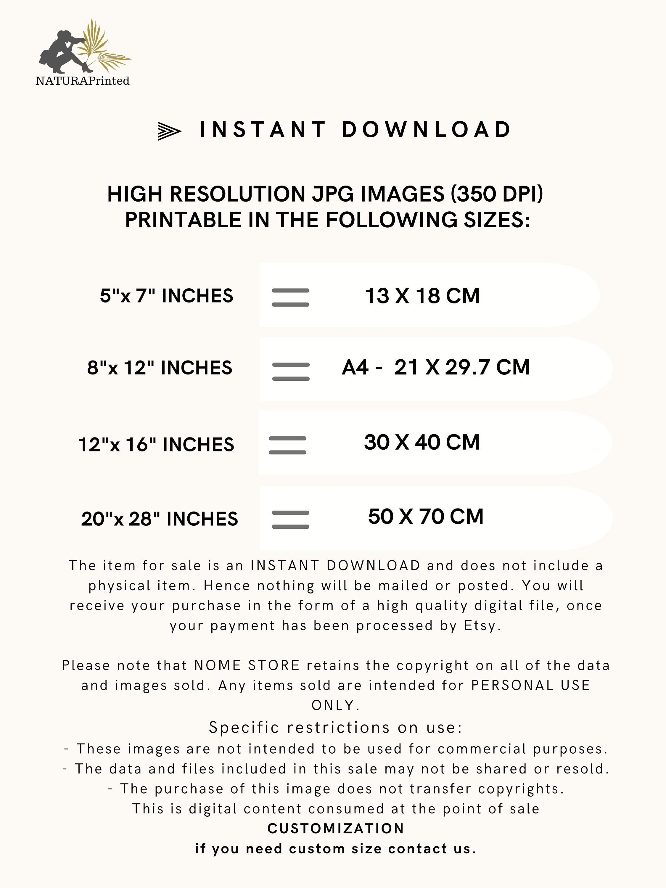 Caribbean Printable, Palm Tree Printable, Sky Printable, Ocean ...