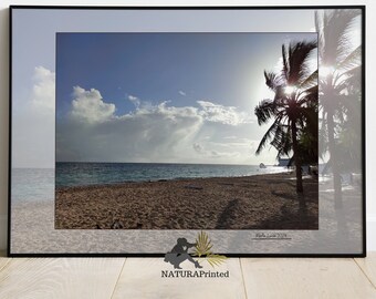 Caribbean Printable, Palm Tree Printable, Sky Printable, Ocean ...
