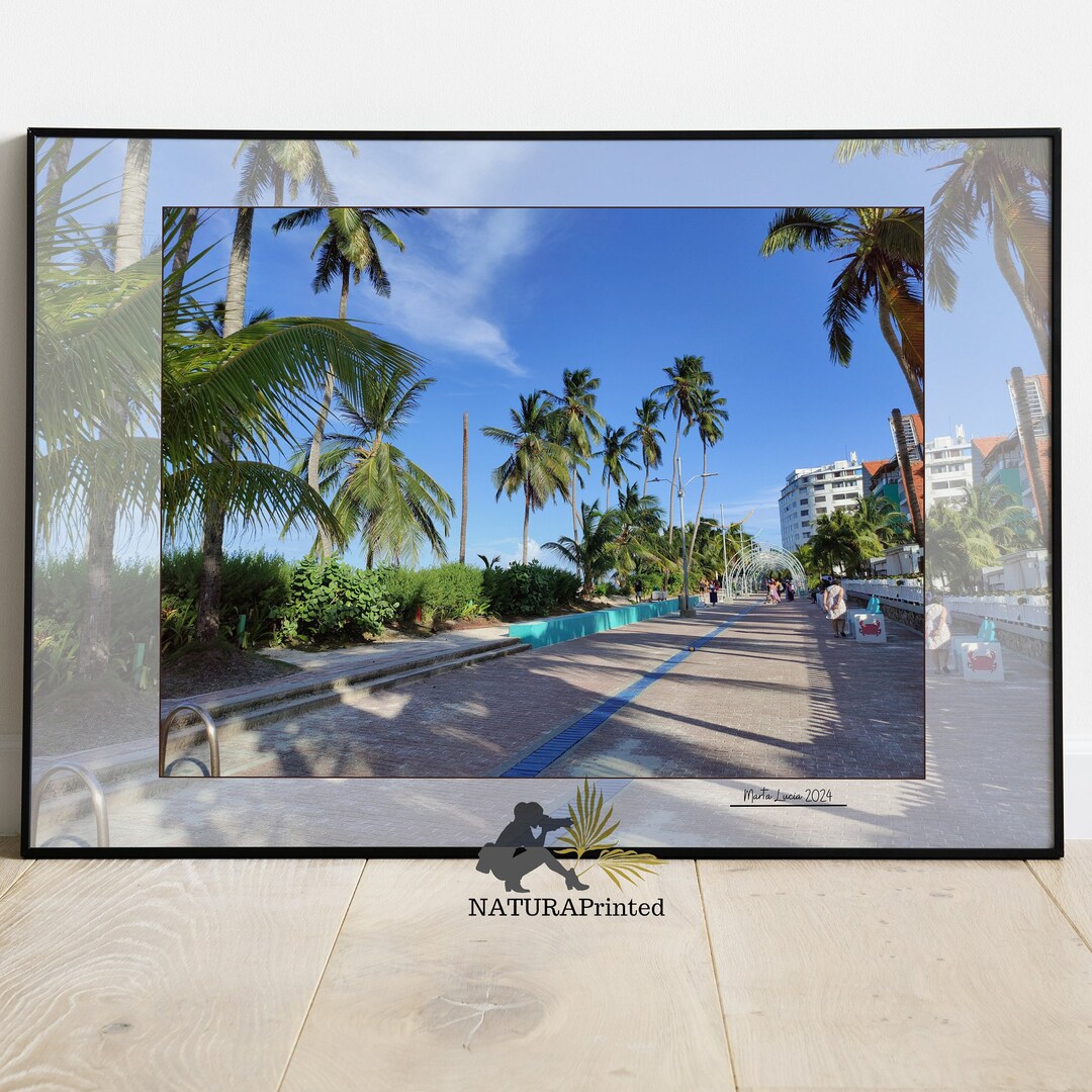 Caribbean Printable, Palm Tree Printable, Sky Printable, Ocean ...