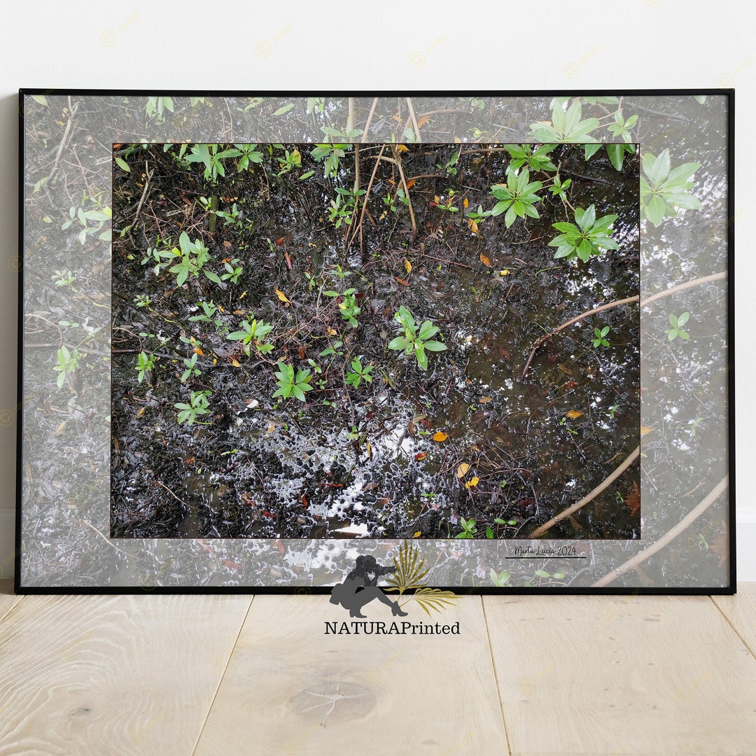 Caribbean Printable, Palm Tree Printable, Sky Printable, Ocean ...