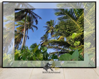 Caribbean Printable, Palm Tree Printable, Sky Printable, Ocean ...