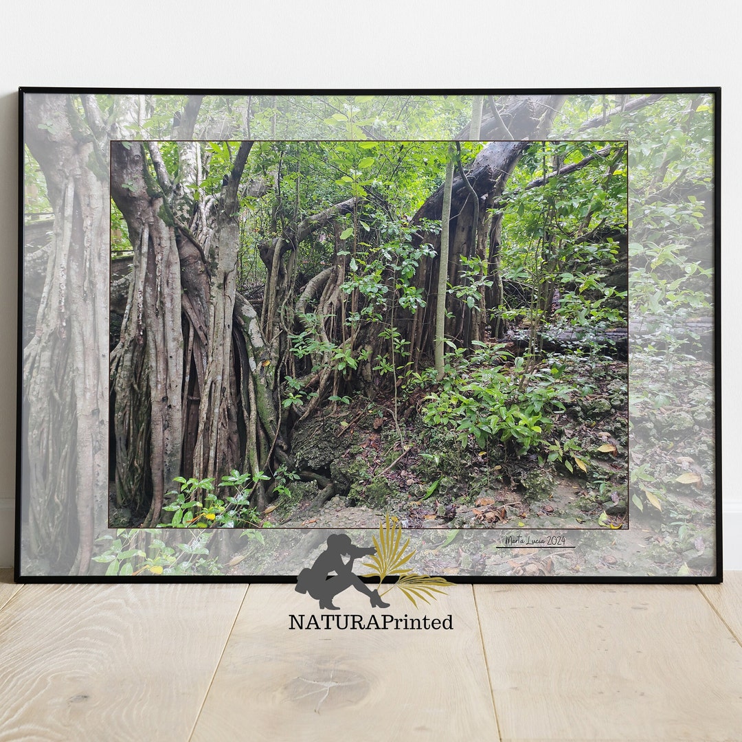 Caribbean Printable, Palm Tree Printable, Sky Printable, Ocean ...