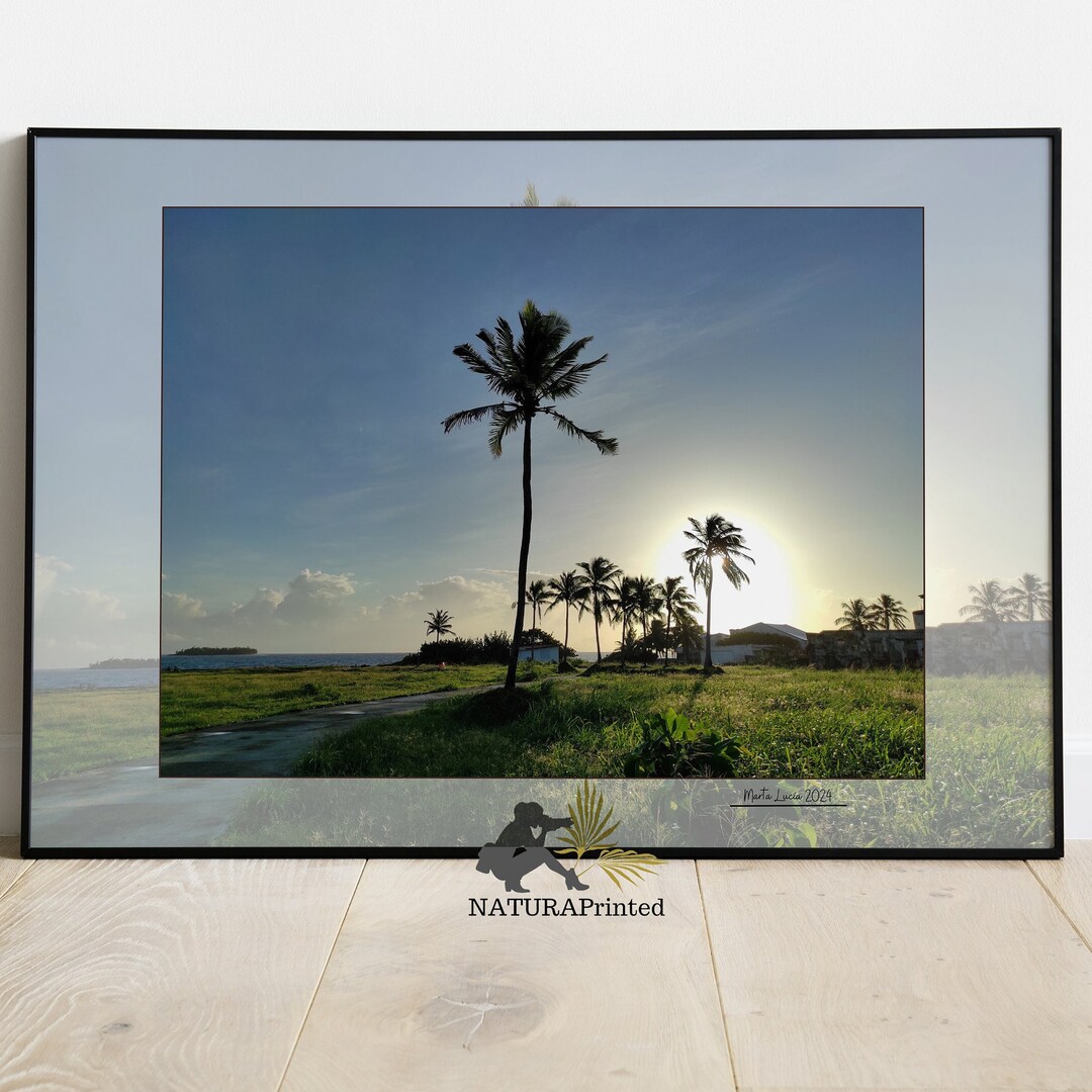 Caribbean Printable, Palm Tree Printable, Sky Printable, Ocean ...