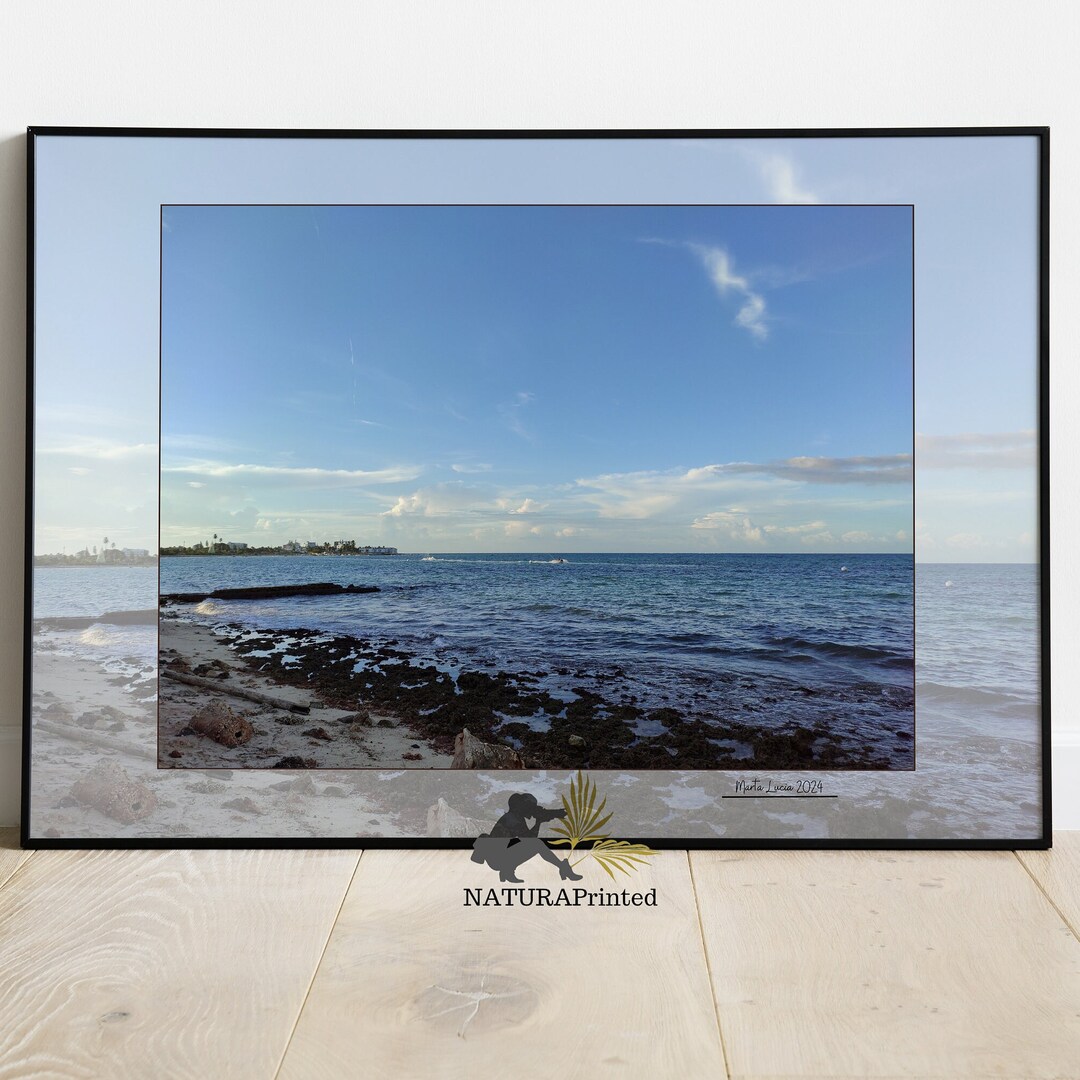 Caribbean Printable, Palm Tree Printable, Sky Printable, Ocean ...