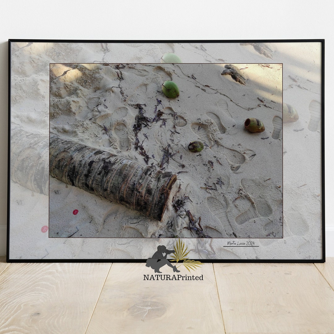 Caribbean Printable, Palm Tree Printable, Sky Printable, Ocean ...