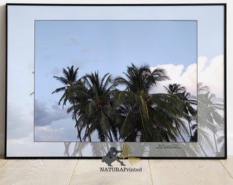 Caribbean Printable, Palm Tree Printable, Sky Printable, Ocean ...