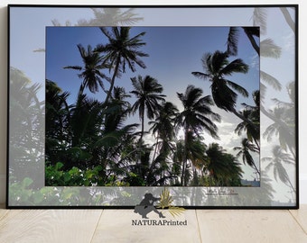 Caribbean Printable, Palm Tree Printable, Sky Printable, Ocean ...