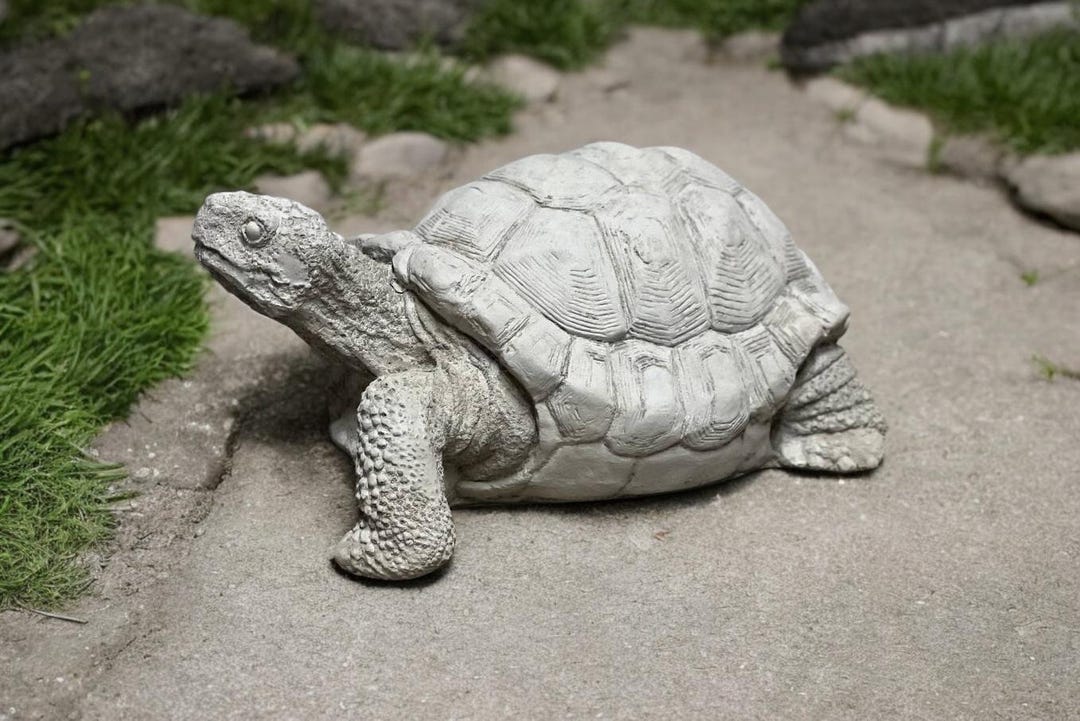 Western Turtle Figure | Concrete Sea Animal Statue 6" | Garden ...