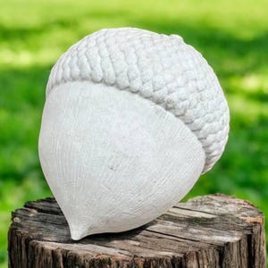 Lawn Acorn Ornament | Stone Backyard Art 7" | Front Door Idea | Acorn ...