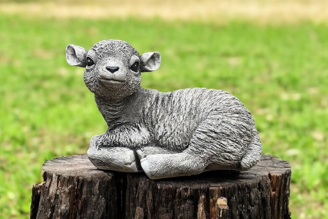 Painted Lamb Figurine | Concrete Laying Lamb 6" | Farm Animal Sculpture ...