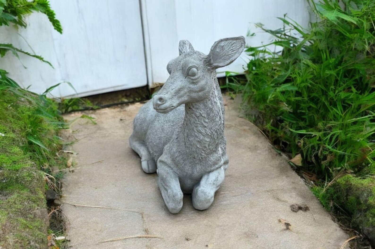 Concrete Fawn Massive Figure | Detailed Deer Backayrd Statue 14 ...