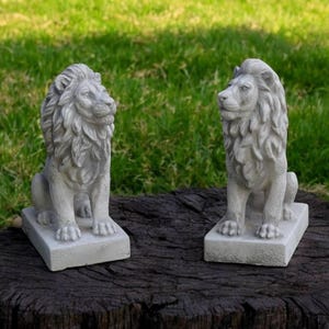 Concrete Lions Pair | Outdoor Lion Statue 14" | Yard Animal Figure ...