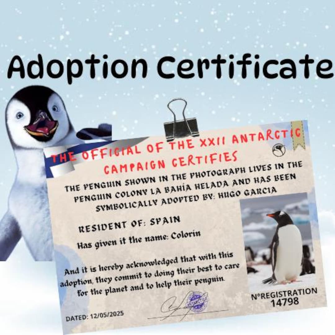 Penguin Adoption Certificate – Personalized Symbolic Gift for Animal ...
