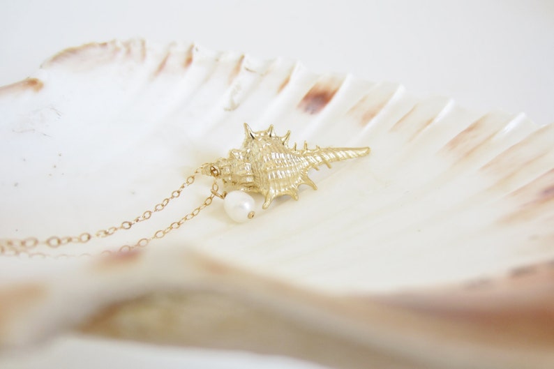 Seashell Necklace, Conch Shell Necklace, Pearl Jewelry, Beach Jewelry ...