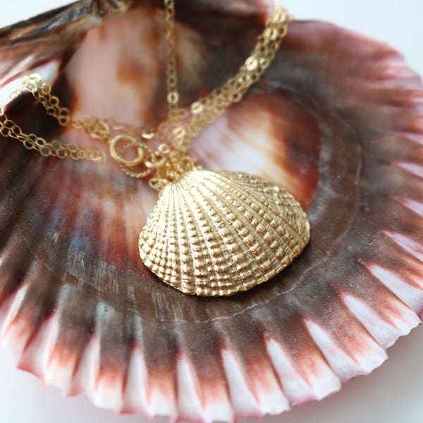 Seashell Necklace - Etsy