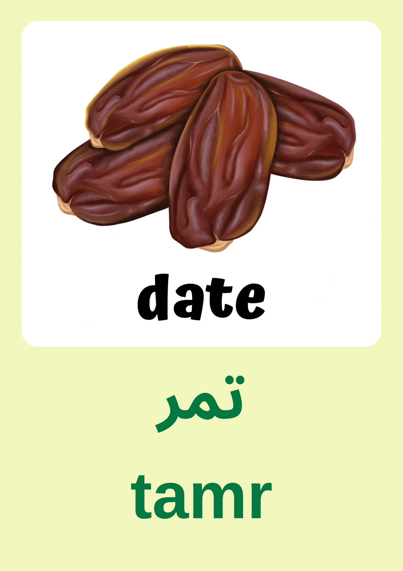 Fruits Flash Cards in Arabic and English Names, Teach Your Kids With ...