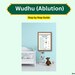 Wudhu Steps Ablution Step by Step, Islamic Digital Printable, Perfect ...
