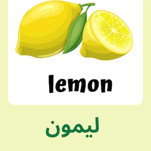 Fruits Flash Cards in Arabic and English Names, Teach Your Kids With ...