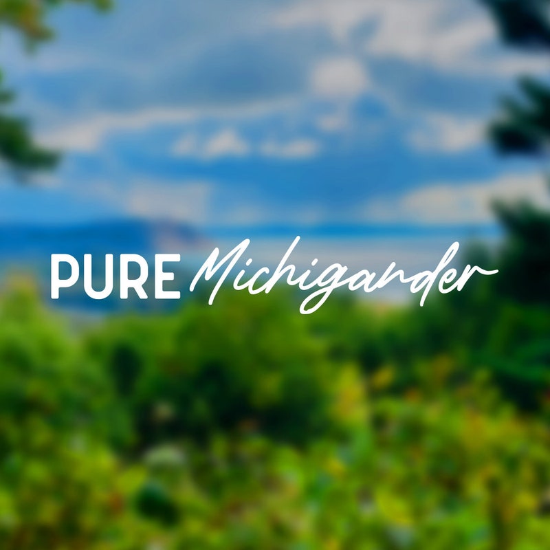 Michigan Car Decal - Etsy