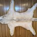 White Male Timber Wolf Wall Hanging From Canada - Etsy