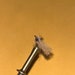 CDC Caddis Dry Fly - Etsy