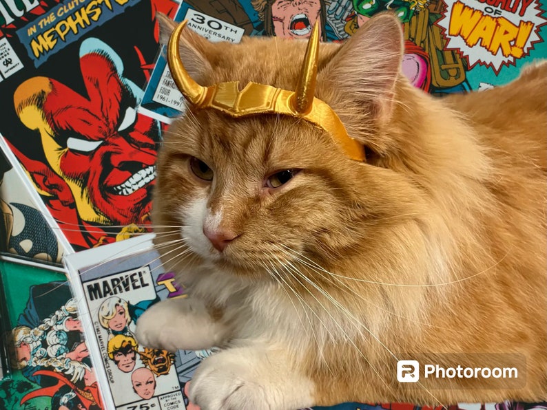 Loki Crown for Cats - Etsy