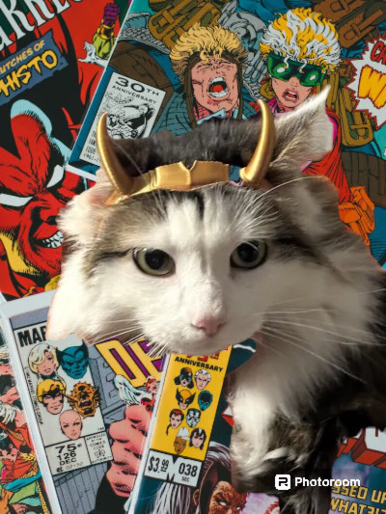 Loki Crown for Cats - Etsy