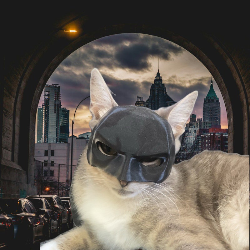 Bat Mask for Cat - Etsy Canada