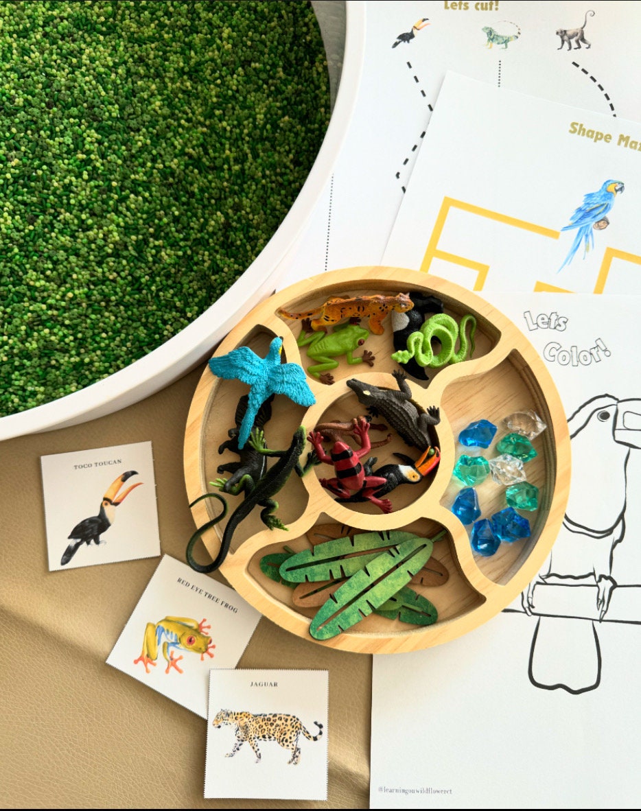 Rainforest Sensory Bin - Etsy