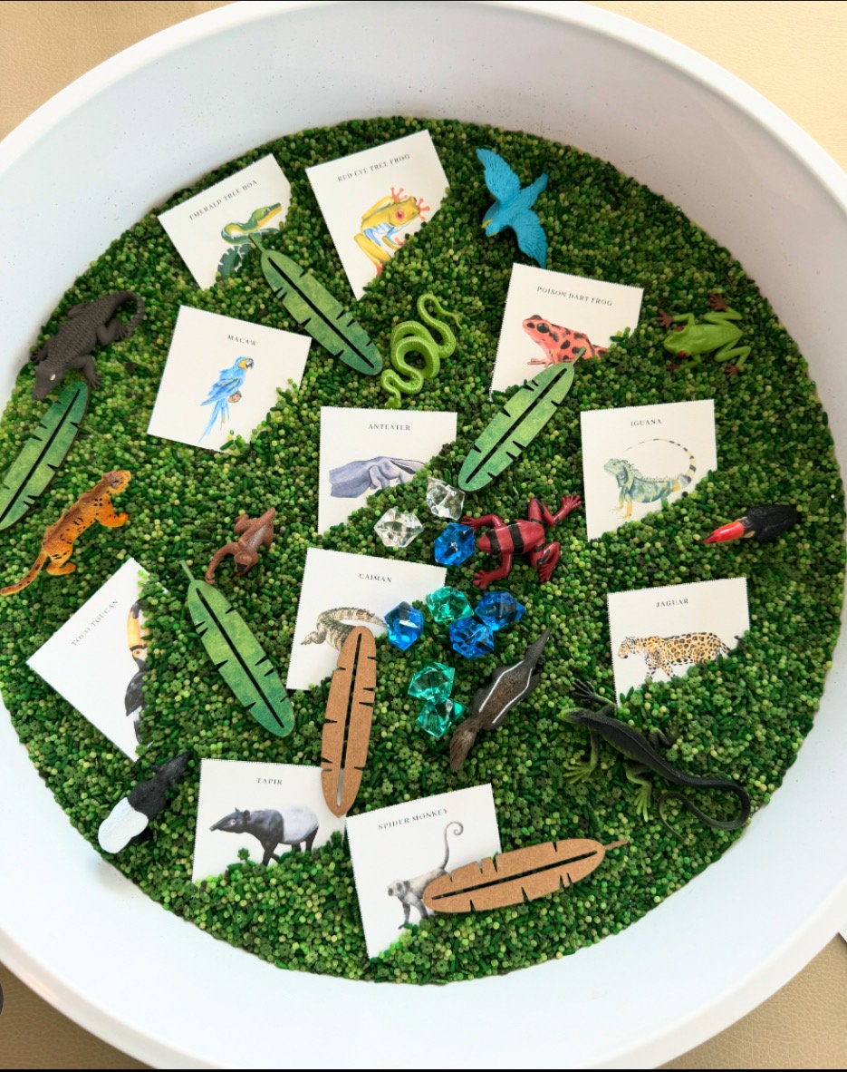 Rainforest Sensory Bin - Etsy