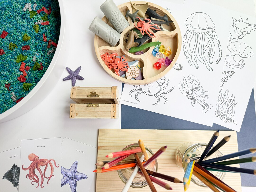Ocean Animals Sensory Bin - Etsy
