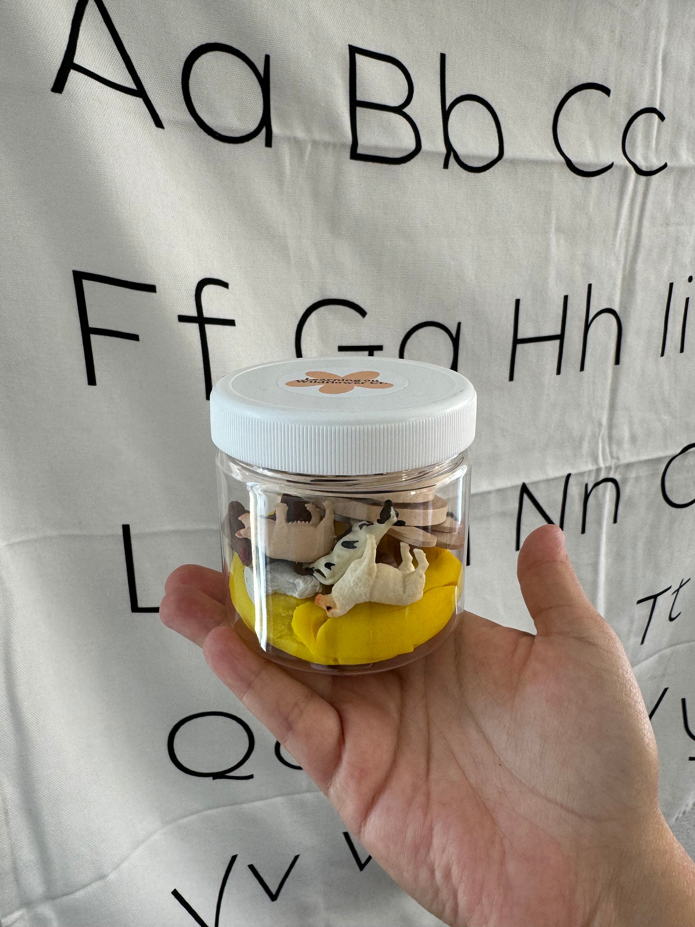 Farm Animals Jar - Etsy