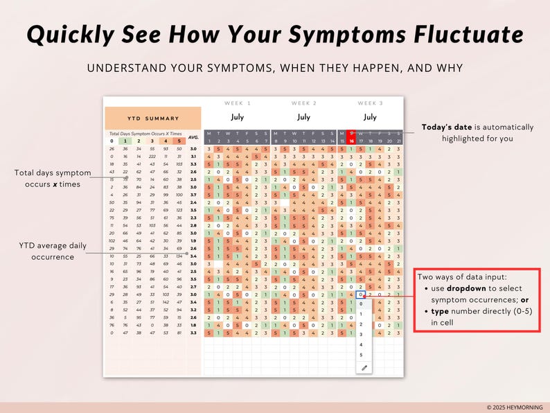Symptom Tracker Google Sheets Chronic Illness Pain Tracker Spreadsheet ...