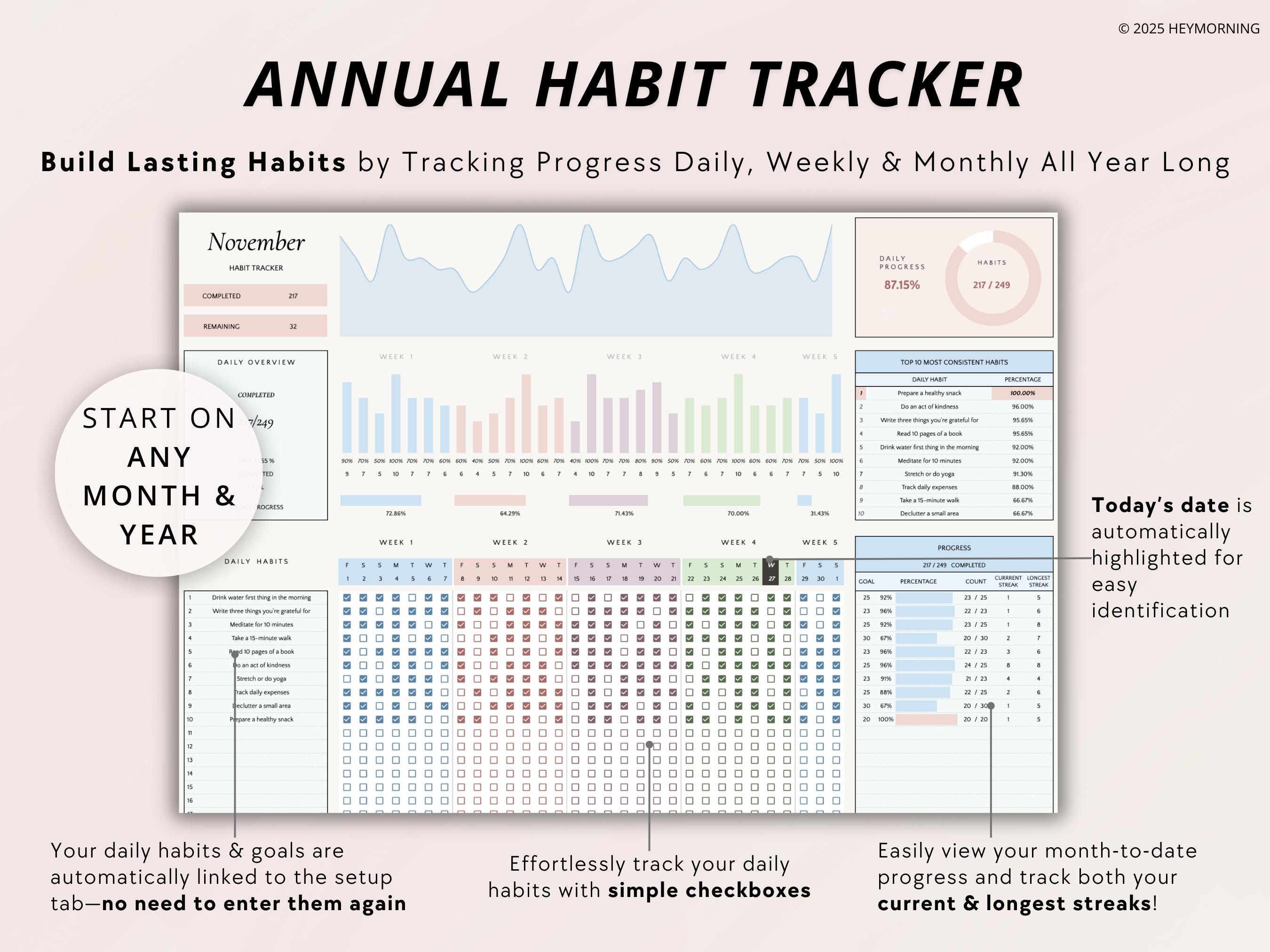 Goal Tracker 2025 Budget Spreadsheet Income and Expense Google Sheets ...