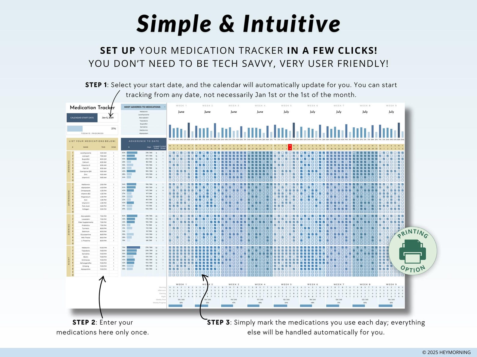 Medication Tracker Google Sheets Daily Supplement Spreadsheet Annual ...