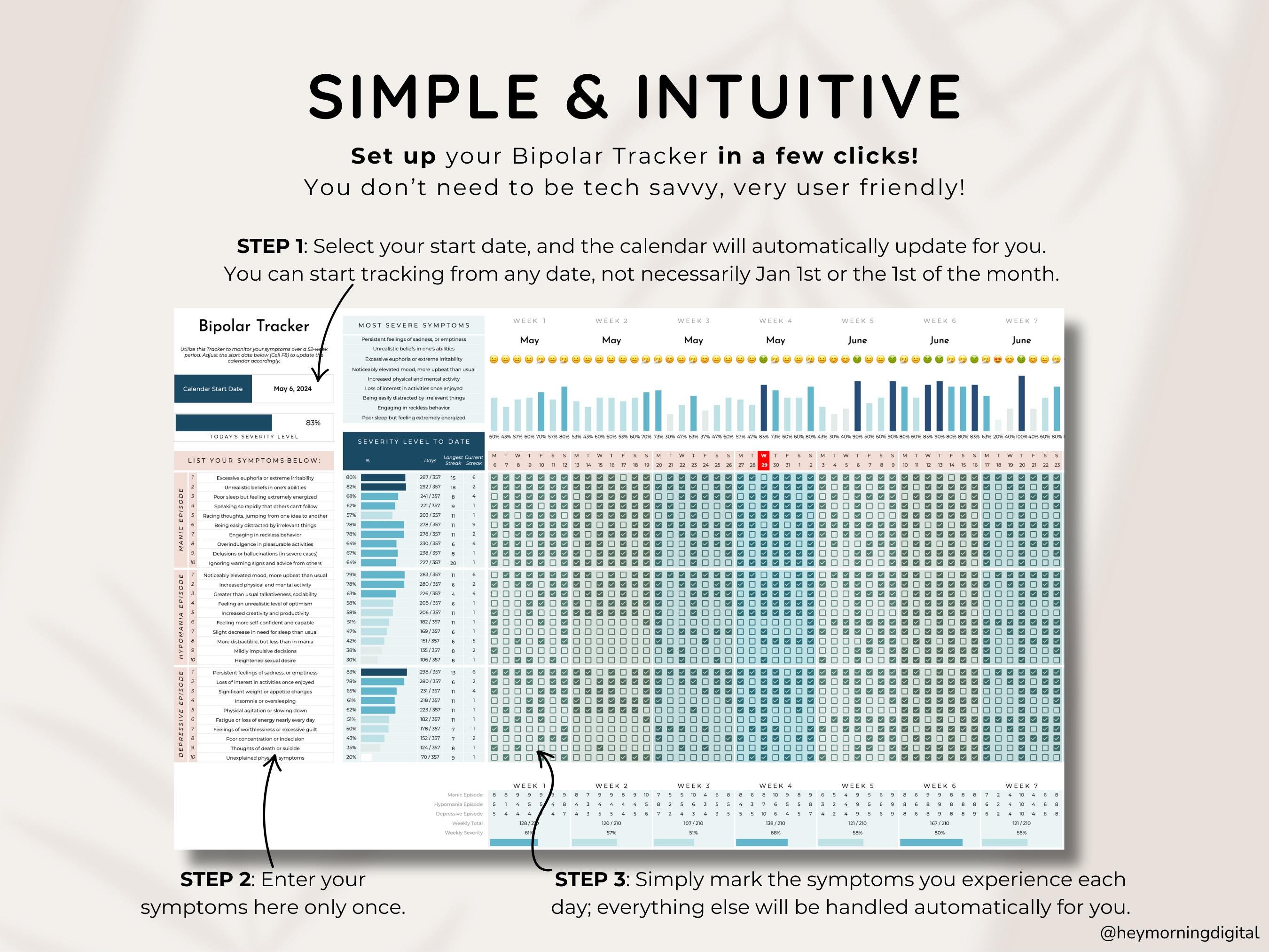 Bipolar Tracker Google Sheets Bipolar Symptom Tracker Spreadsheet Daily ...