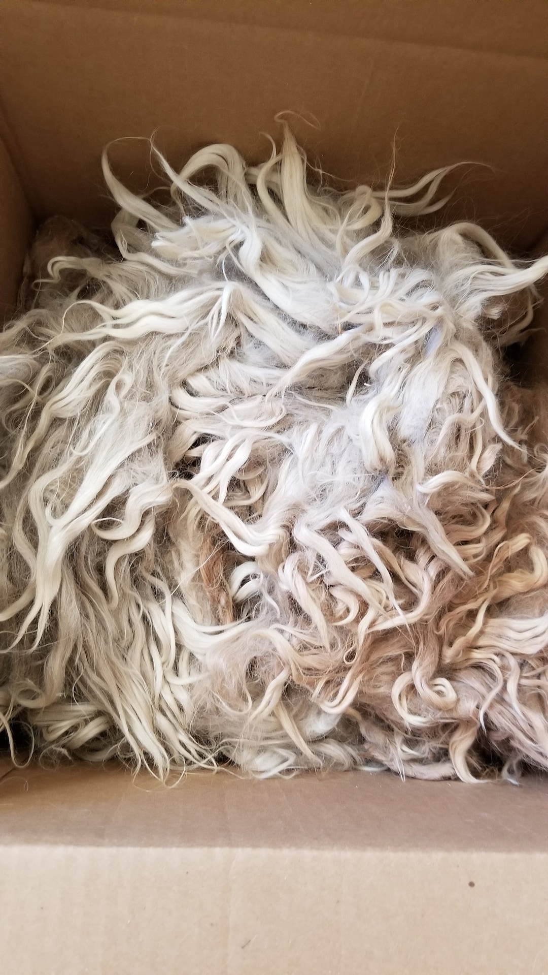 SMORES 1 Lb Neck Medium Fawn Raw Suri Alpaca Fiber - Etsy