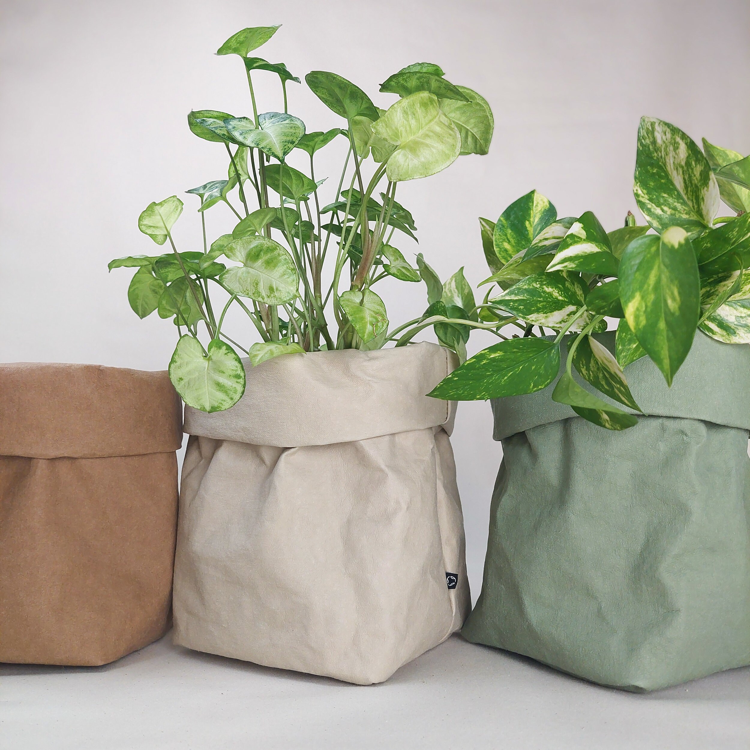 Indoor Plant Pot for Plant Lovers, Storage Organization Kitchen ...