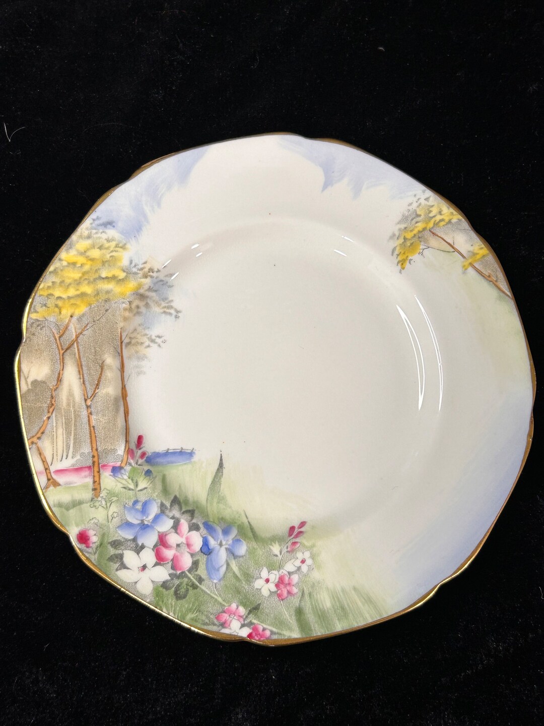 Paragon Porcelain Plates - Etsy