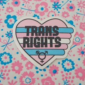 Trans Rights Vinyl Sticker - Equality Sticker - Etsy