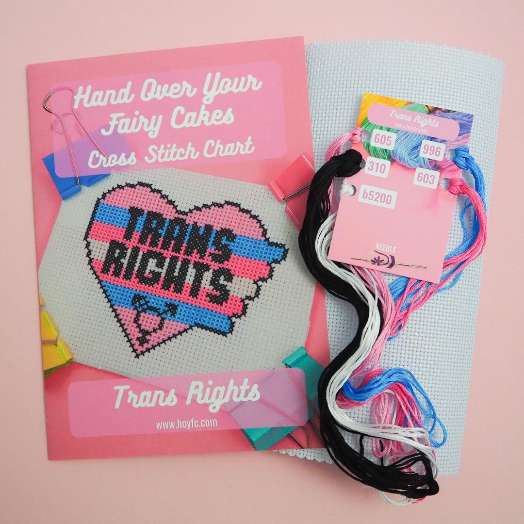 Trans Rights Cross Stitch Kit - Craft DIY - Etsy