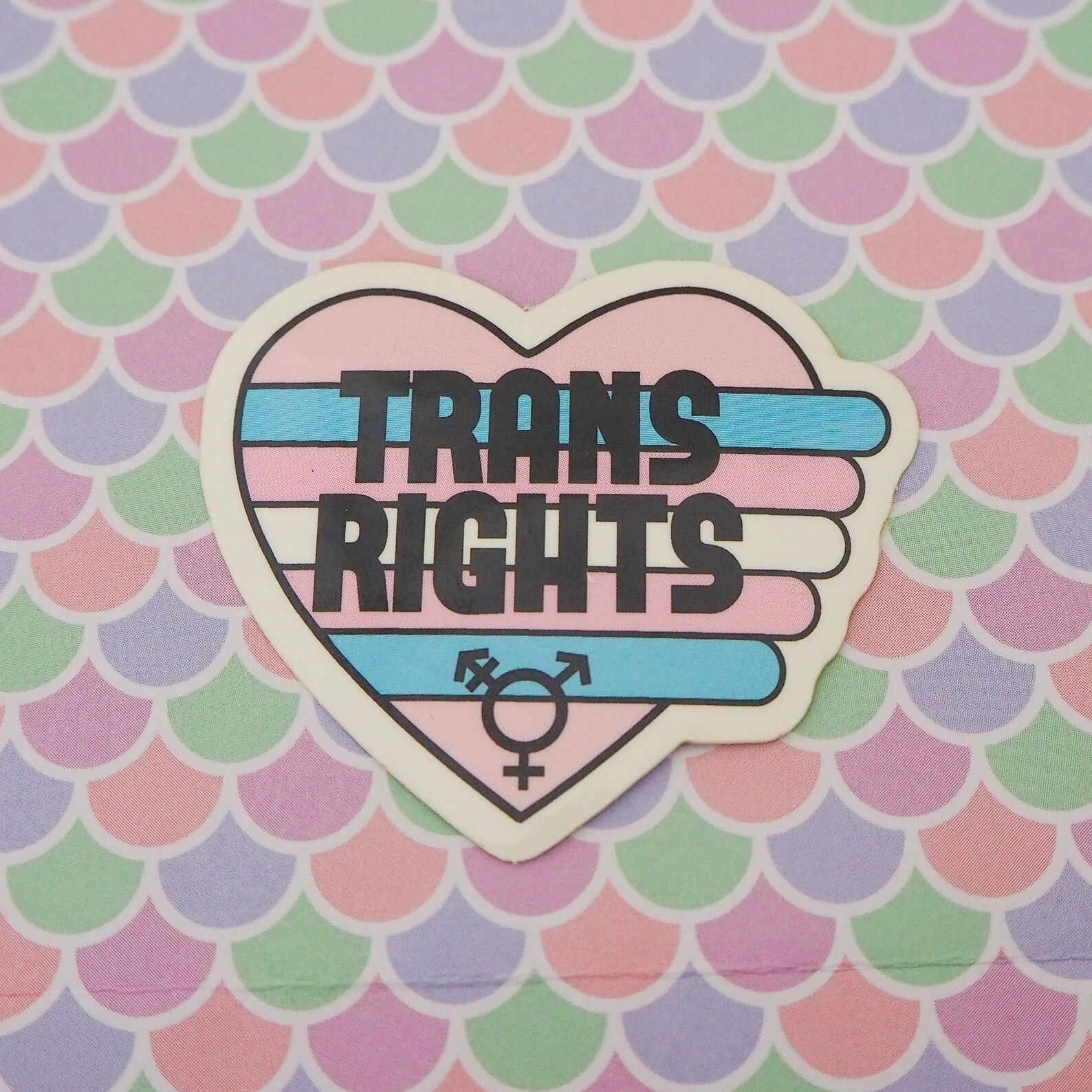 Trans Rights Vinyl Sticker Equality Sticker - Etsy
