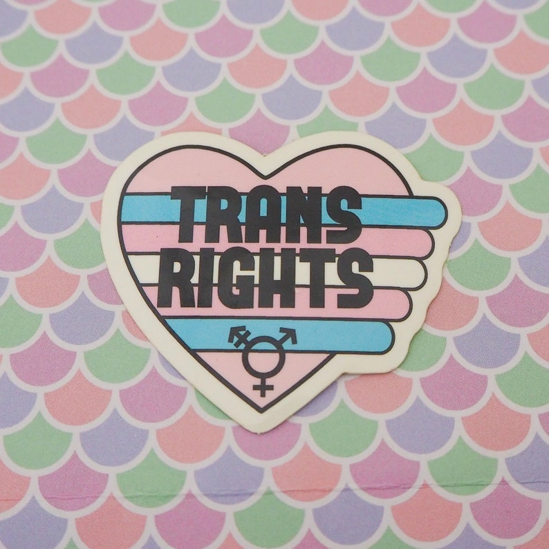 Trans Rights Vinyl Sticker - Equality Sticker - Etsy