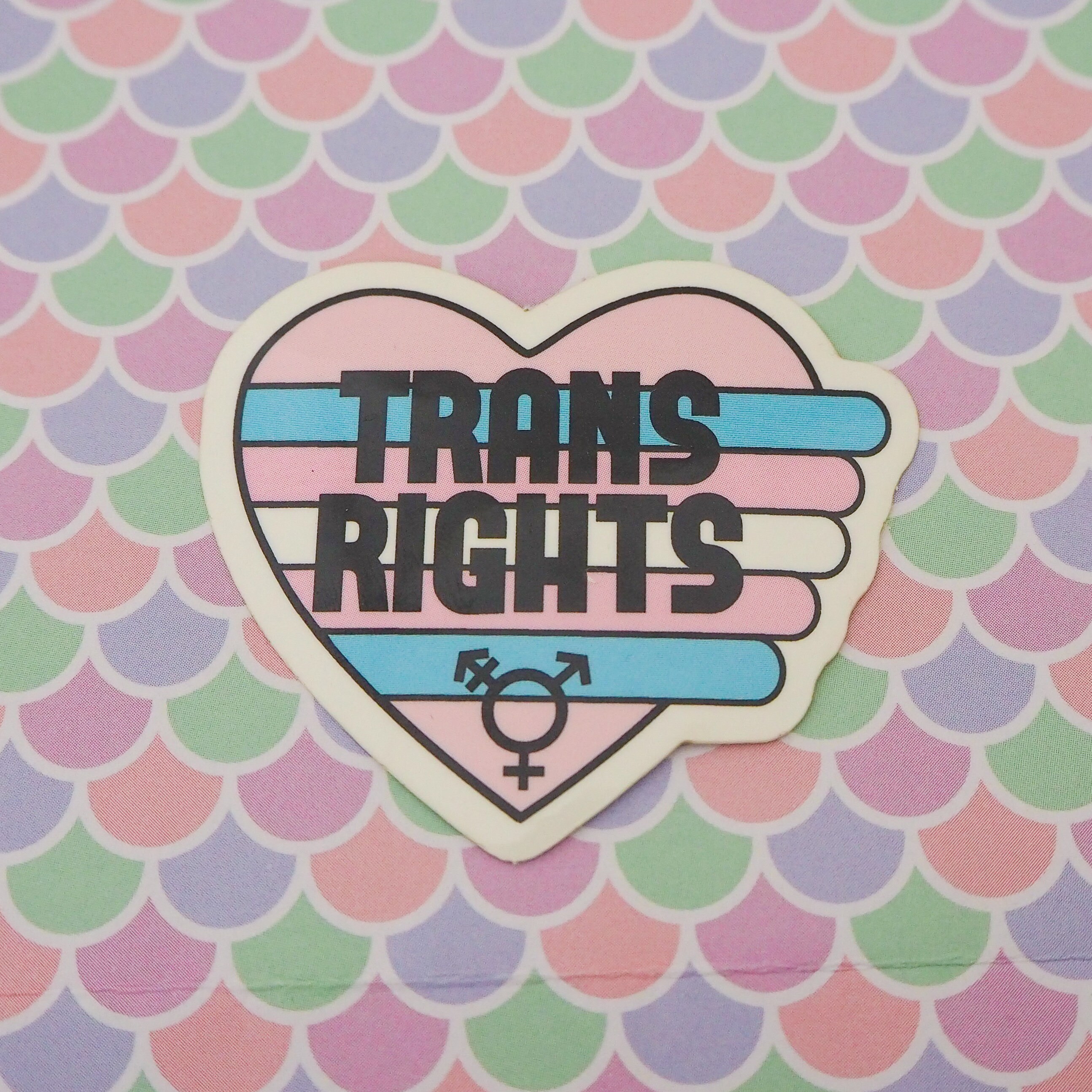 Trans Rights Vinyl Sticker Equality Sticker - Etsy